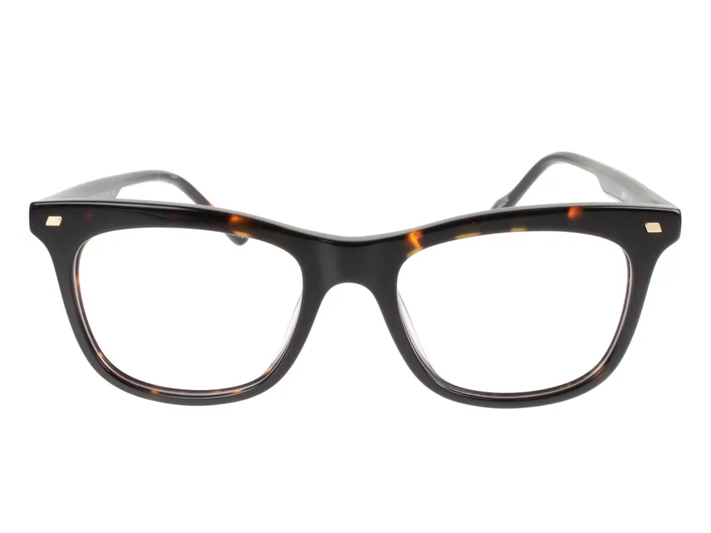 Le Specs Renaissance Dark Tortoise | Feel Good Contacts UK